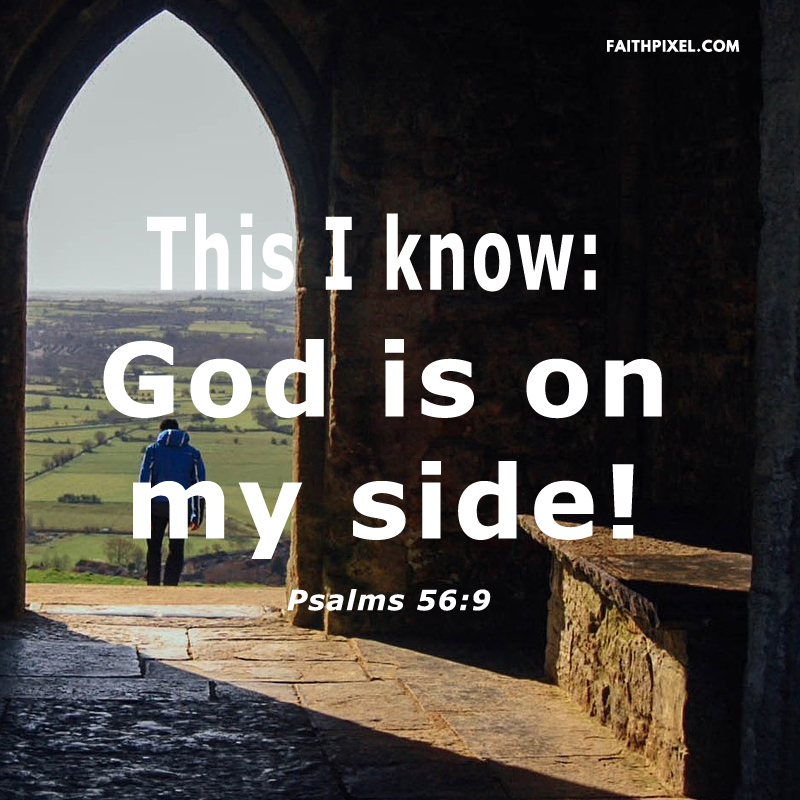 Psalm 56 8 9 SikanderSarea