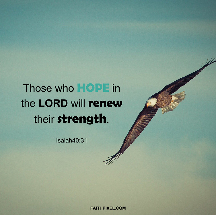 Those who hope in the LORD will renew their strength! - The Bible ...